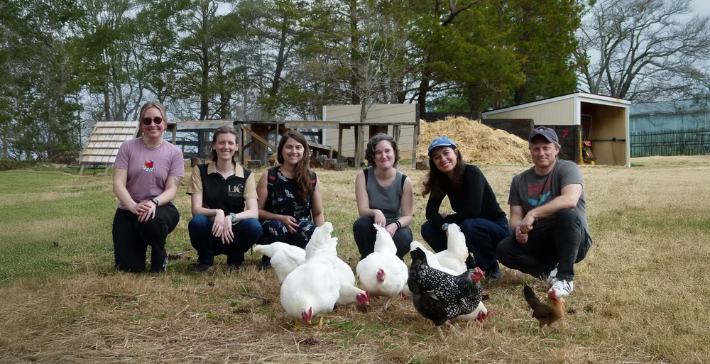 Careers | Join Our Animal Rights Mission — Legal Impact for Chickens
