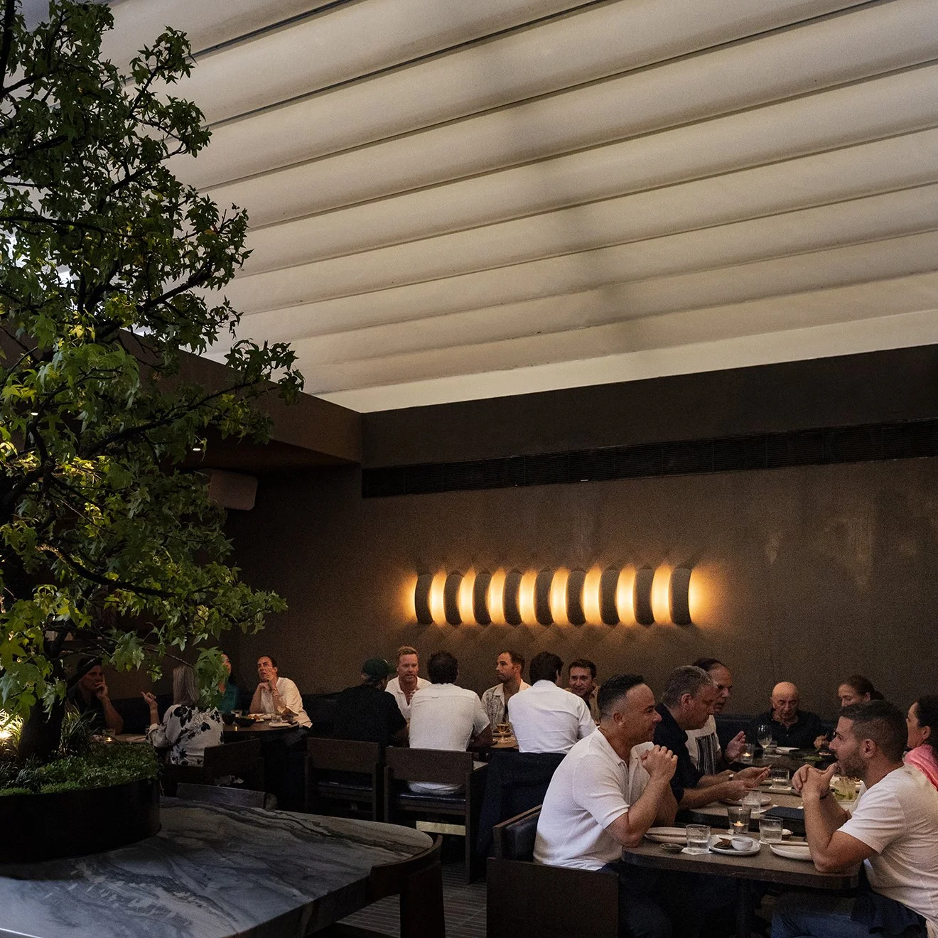 Functions & Events — Tanuki