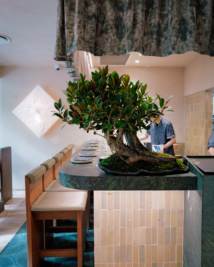 Contemporary Japanese Restaurant Double Bay | Tanuki