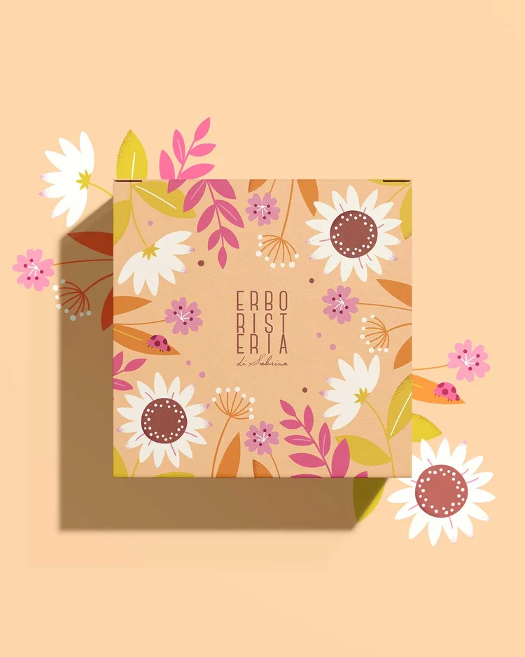 Leaf Box Seasons Packaging — Silviarossana - Freelance illustrator and ...