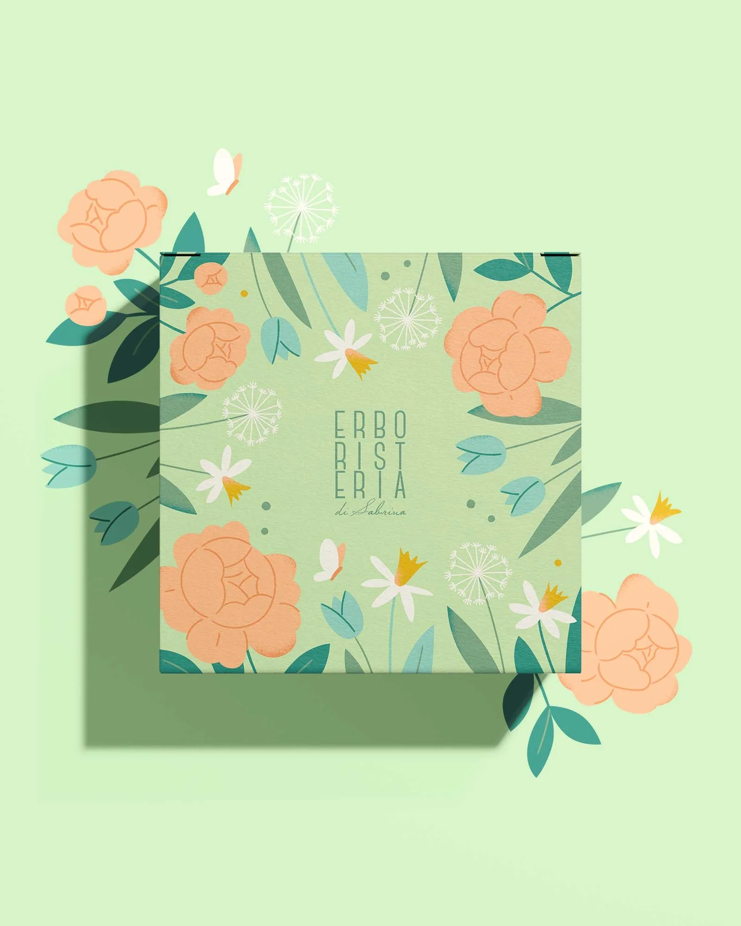 Leaf Box Seasons Packaging — Silviarossana - Freelance illustrator and ...