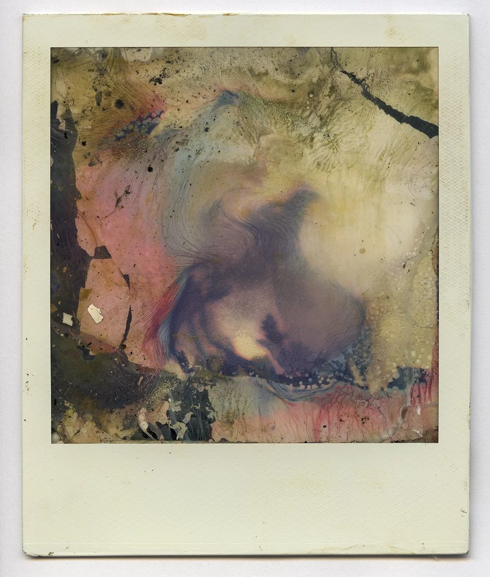 Polagrams — Catriona Gray Alternative Photography