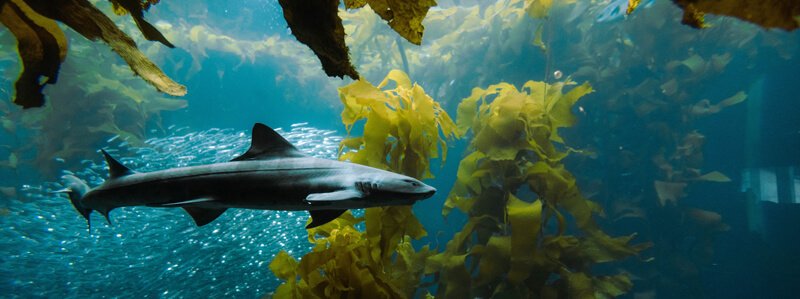 Recycled Ropes :: The Vital Role of Rope Recycling