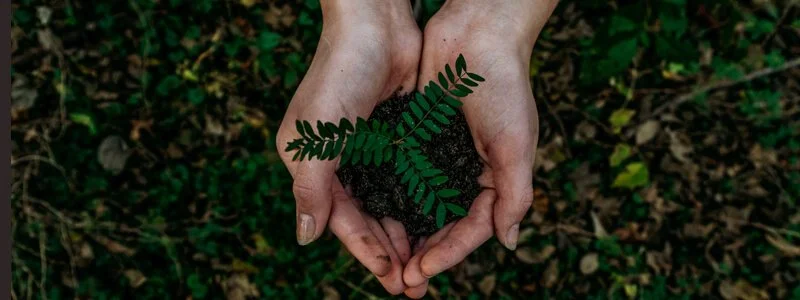 Recycled Ropes :: The Vital Role of Rope Recycling