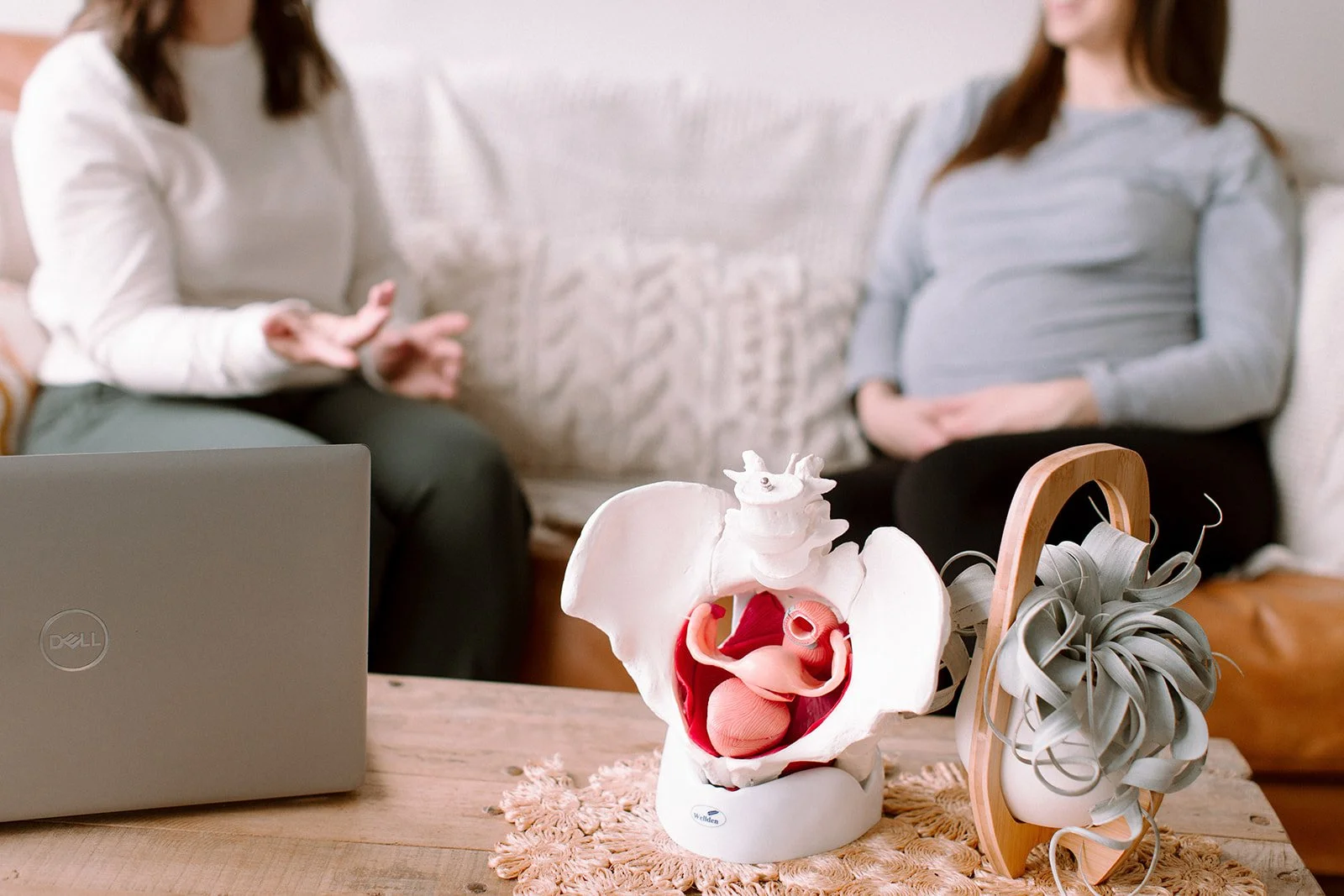 Evergreen Pelvic Health & Wellness | Portland, OR