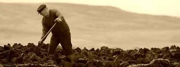 Seamus Heaney. The greatest Irish poet since Yeates published Digging ...