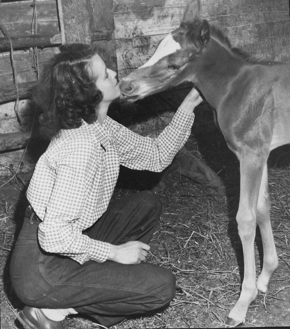 Our Ranch — Sunup Ranch