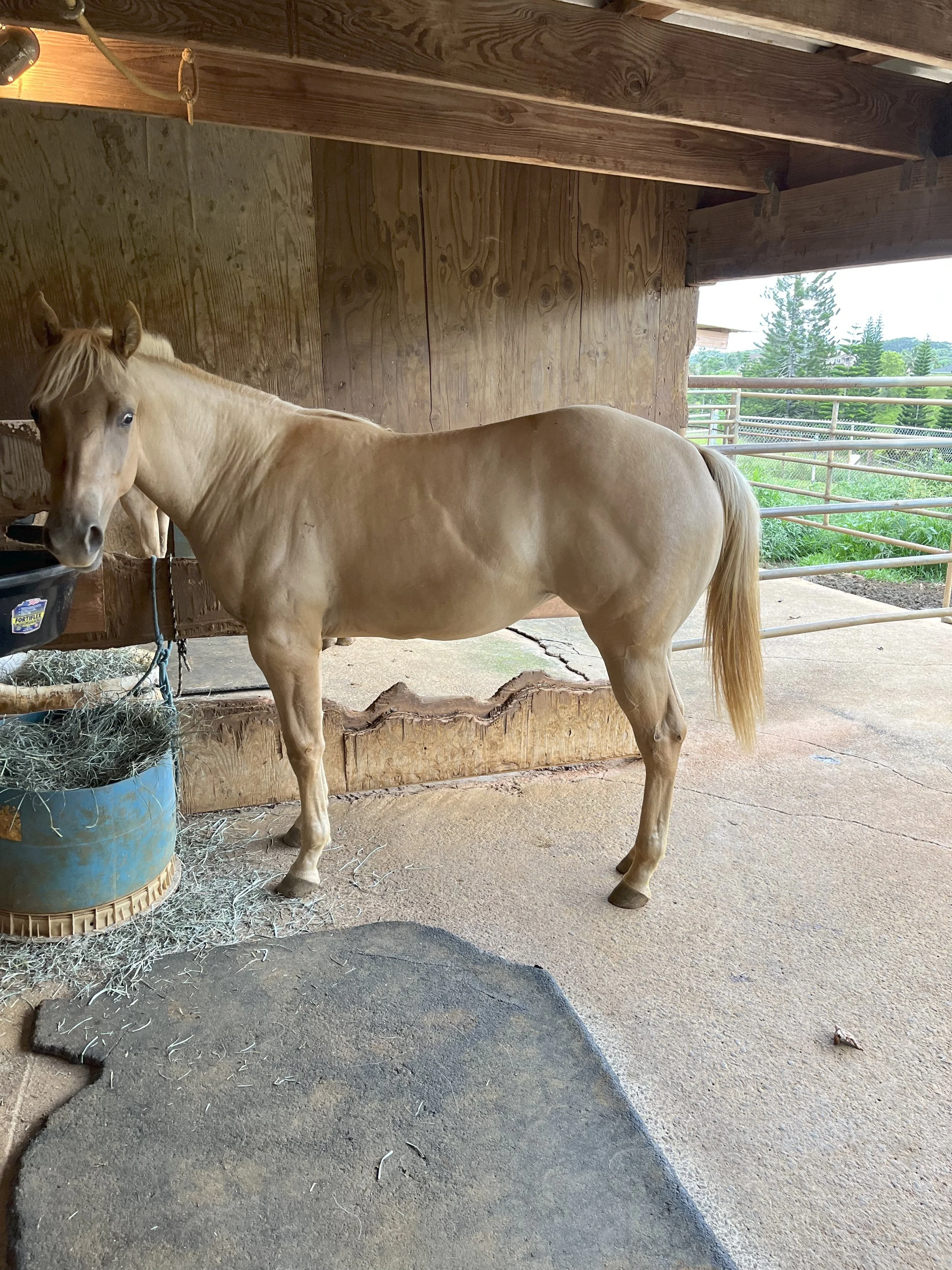 Blog 1 — Sunup Ranch