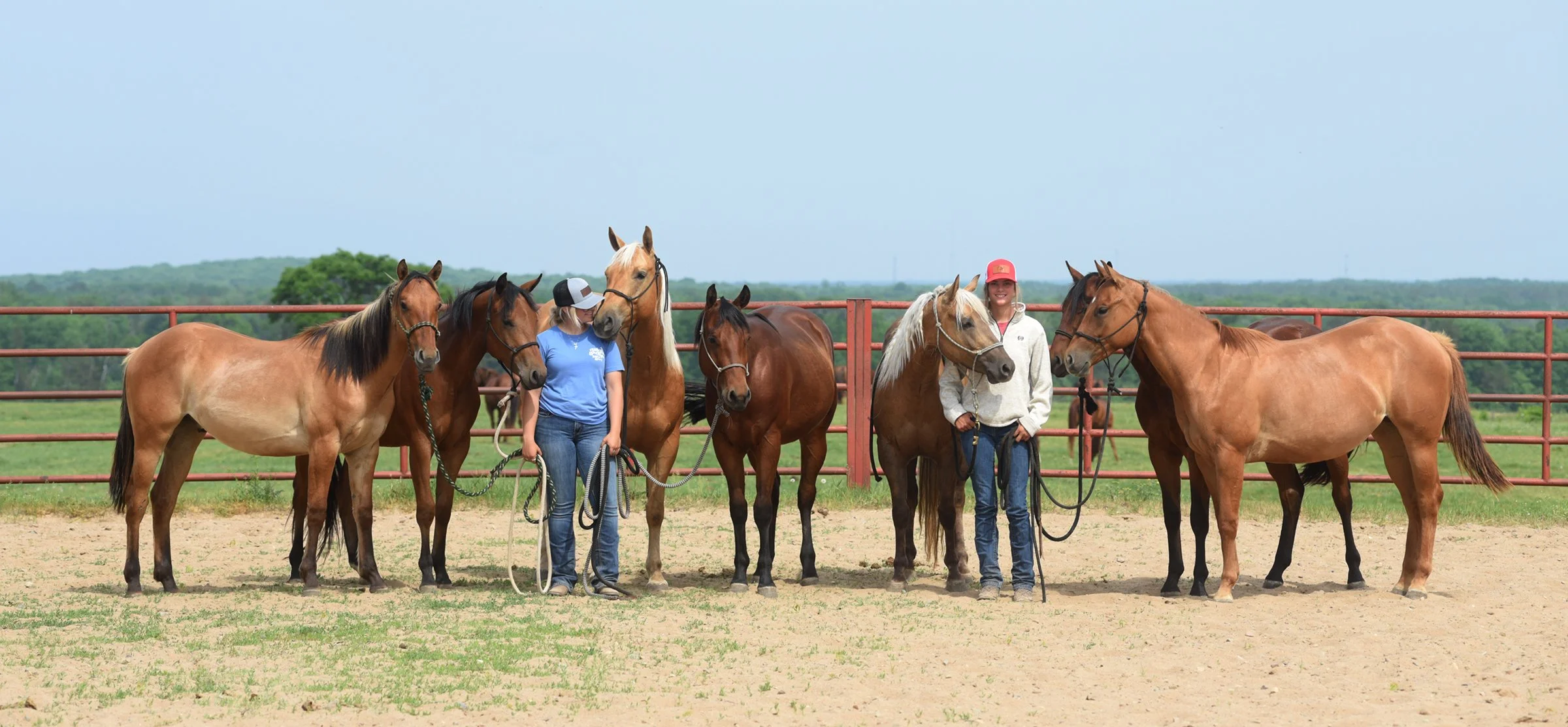 For Sale — Sunup Ranch