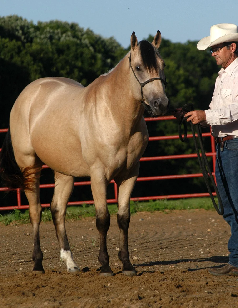 Down To Tyree — Sunup Ranch