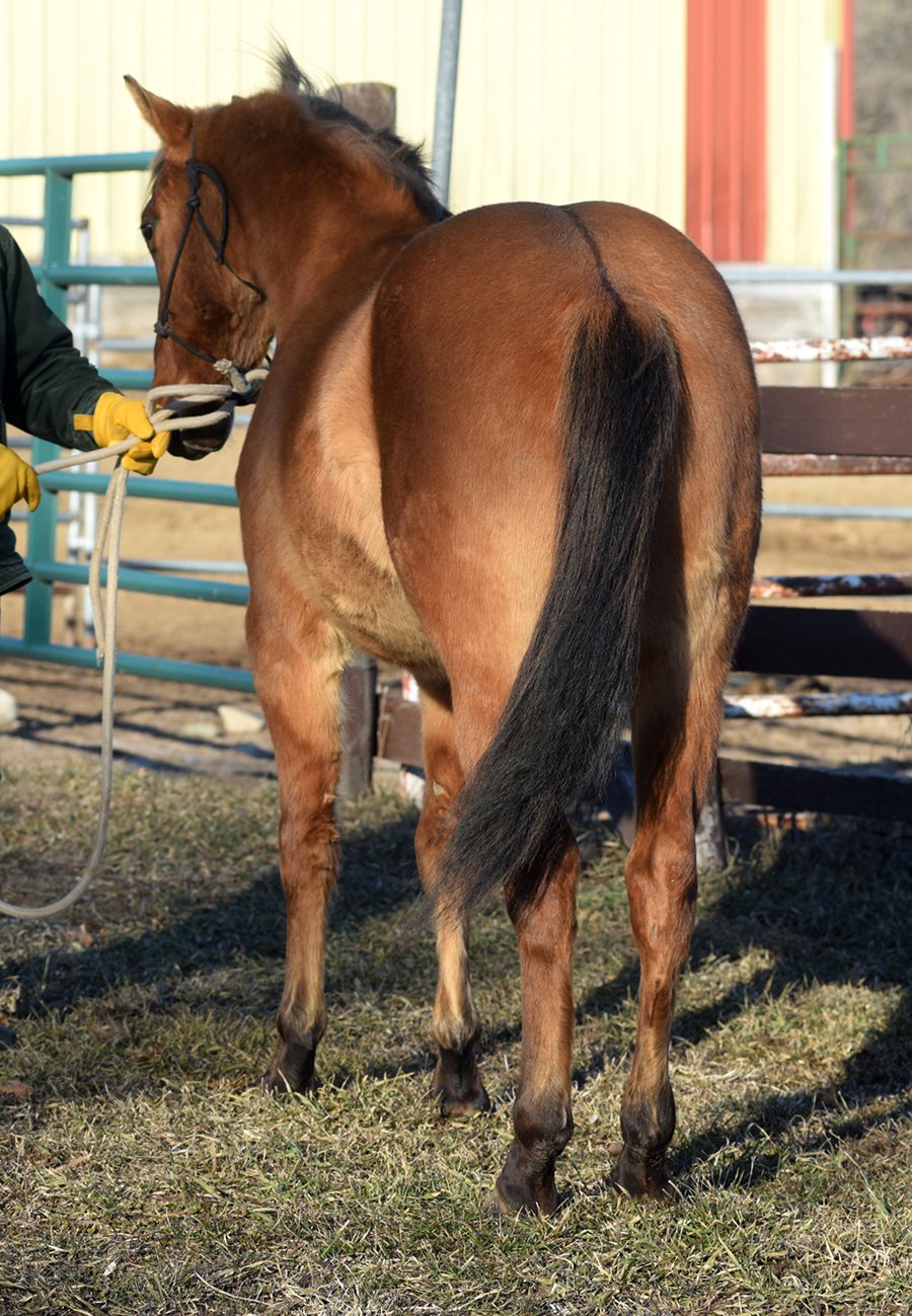 All Dun Now — Sunup Ranch