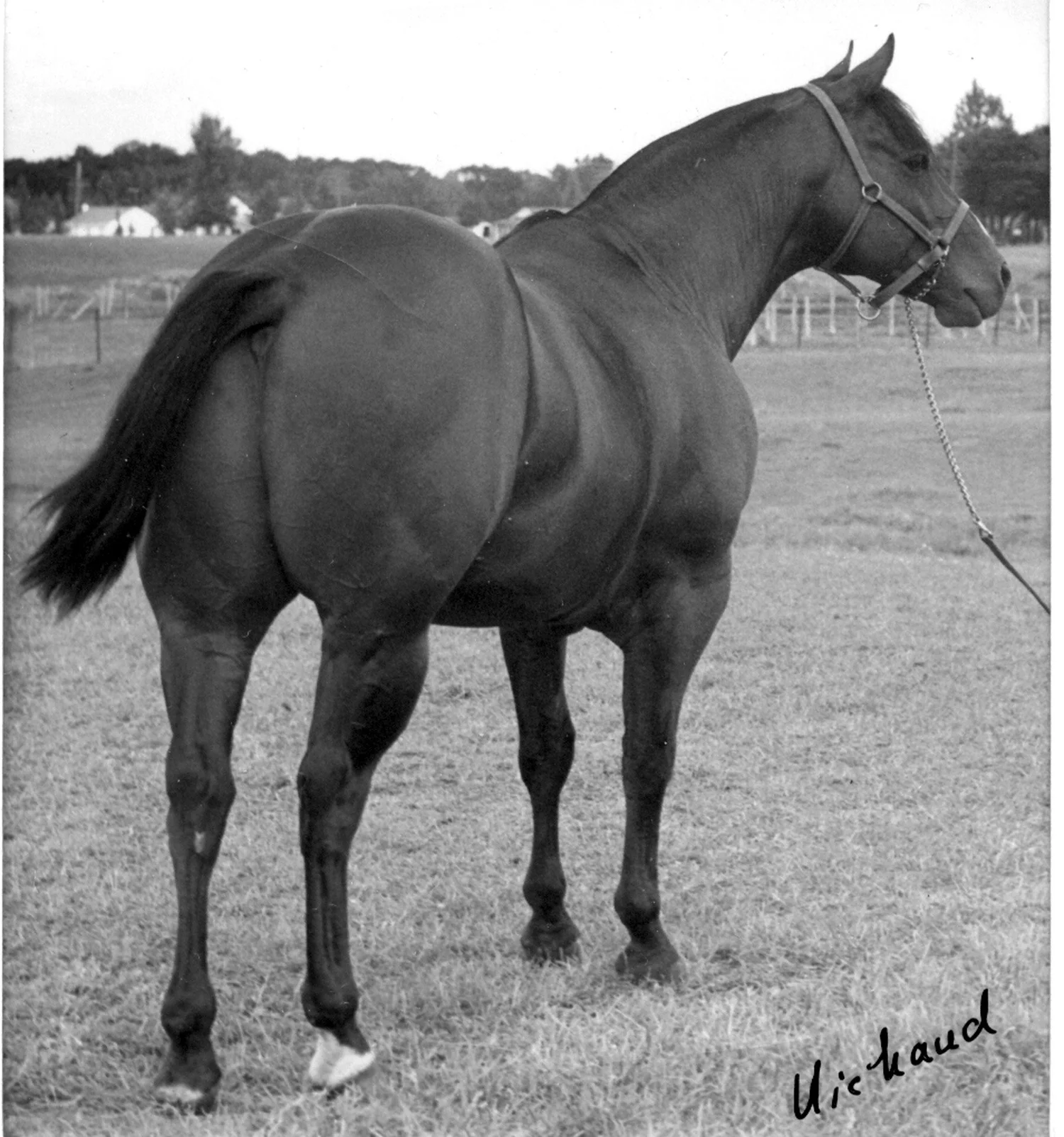 Our Ranch — Sunup Ranch