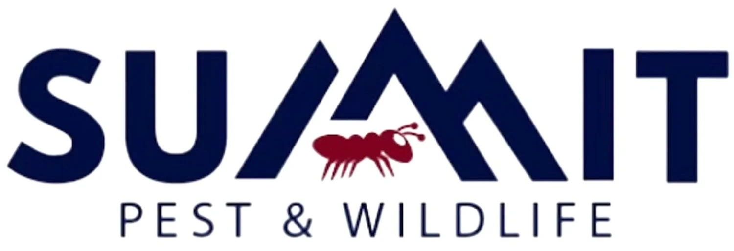 Welcome! [summitpcw.com]