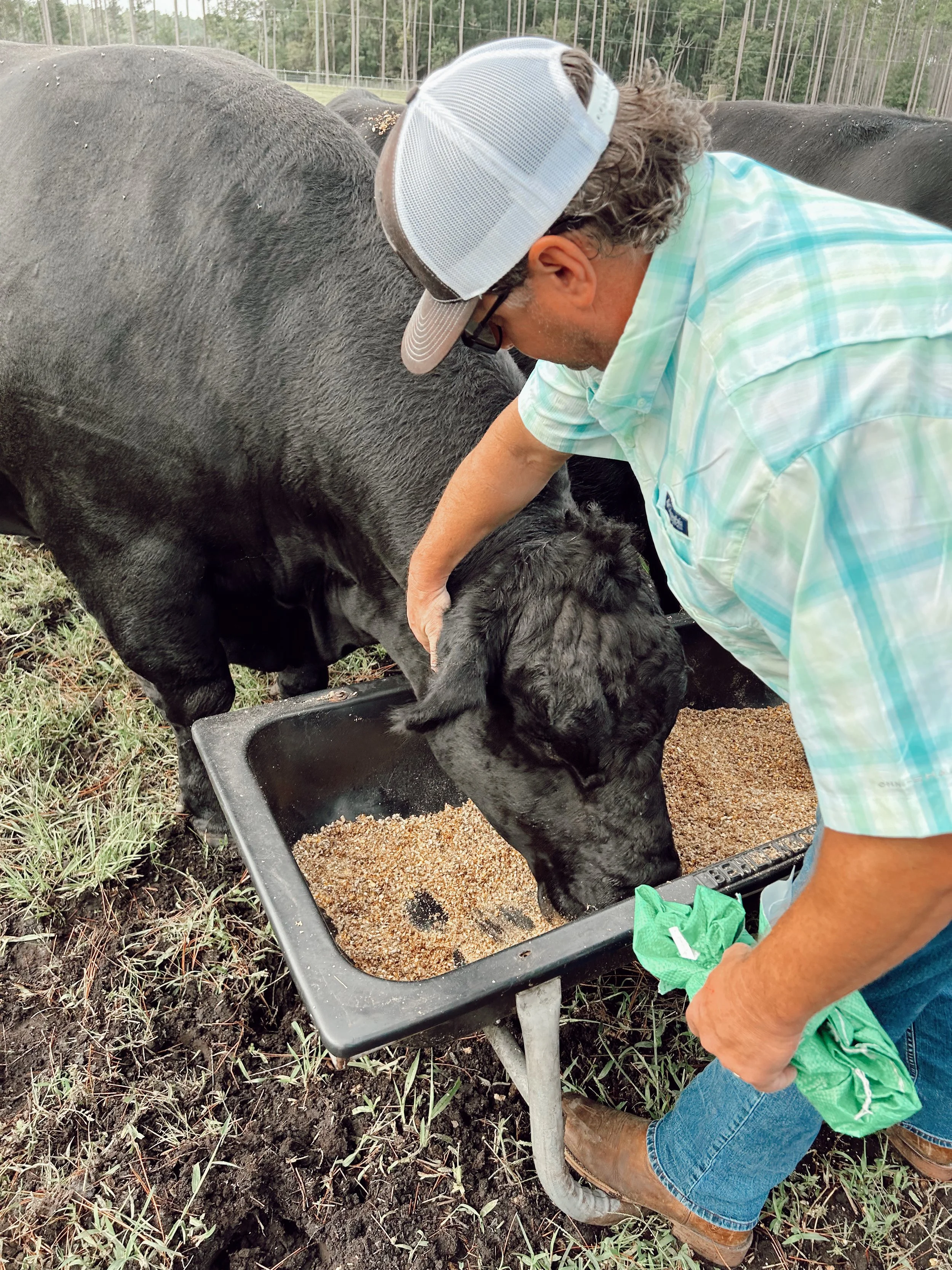 Cline's Custom Meats | San Marco | Jacksonville, FL Butcher Shop