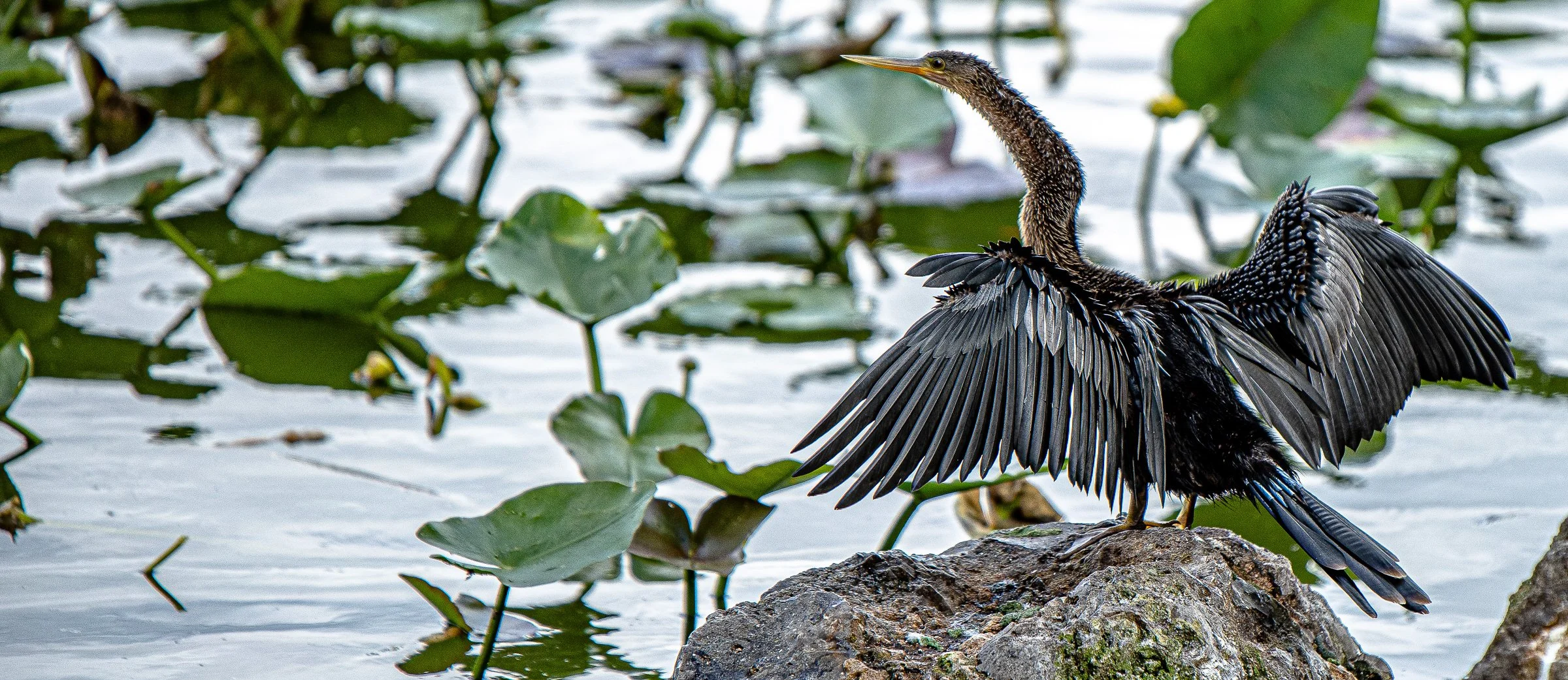 Garrett Chinn Photography