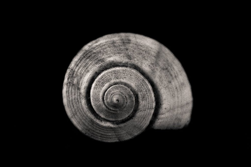 Garrett Chinn Photography