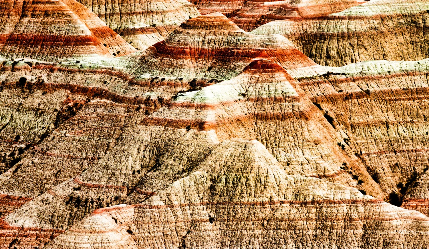 Garrett Chinn Photography