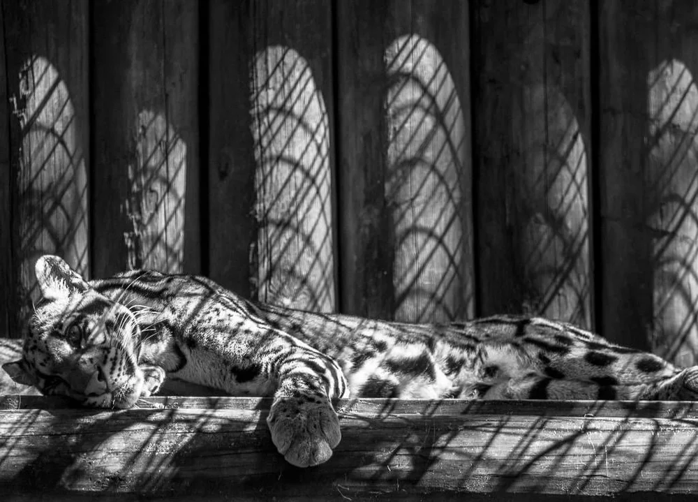 Garrett Chinn Photography