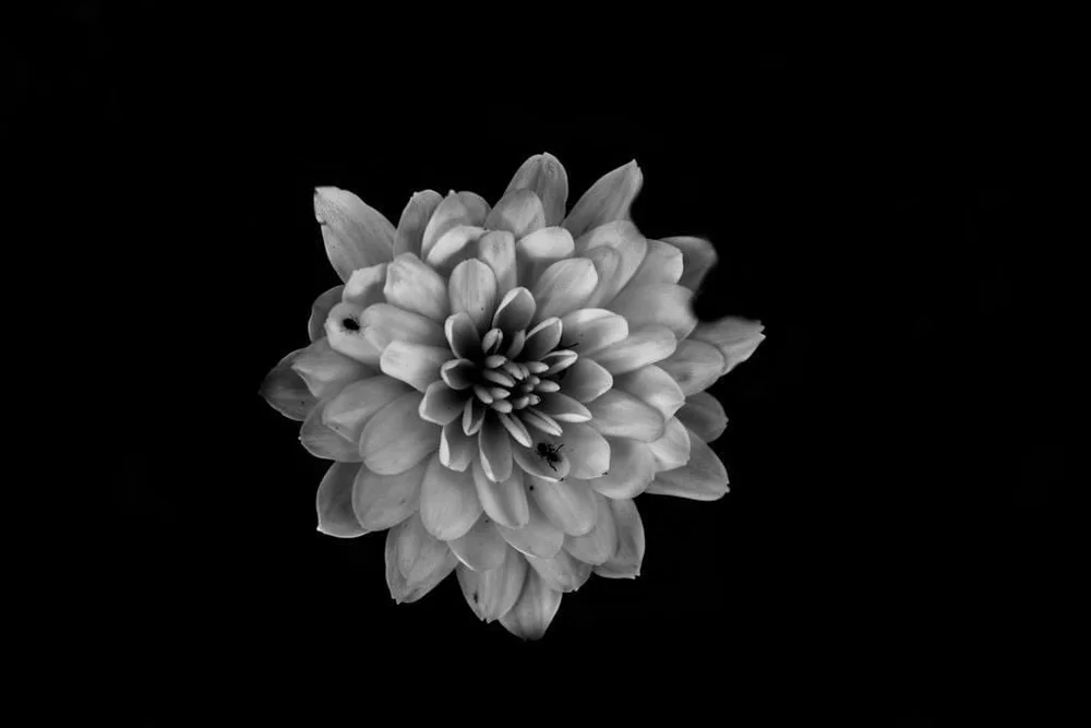 Garrett Chinn Photography