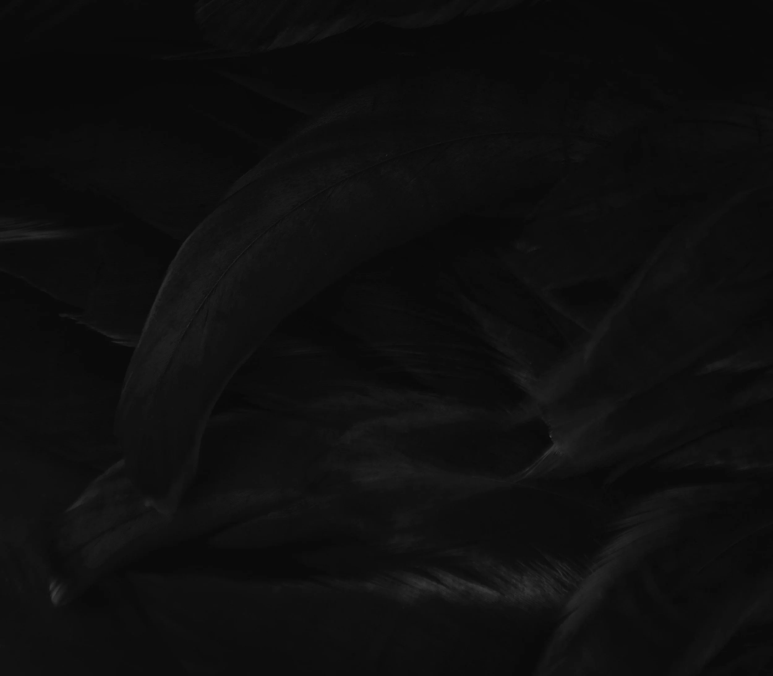 Archer Sullivan | Author, Storyteller