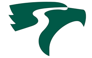 Company — Lightstar