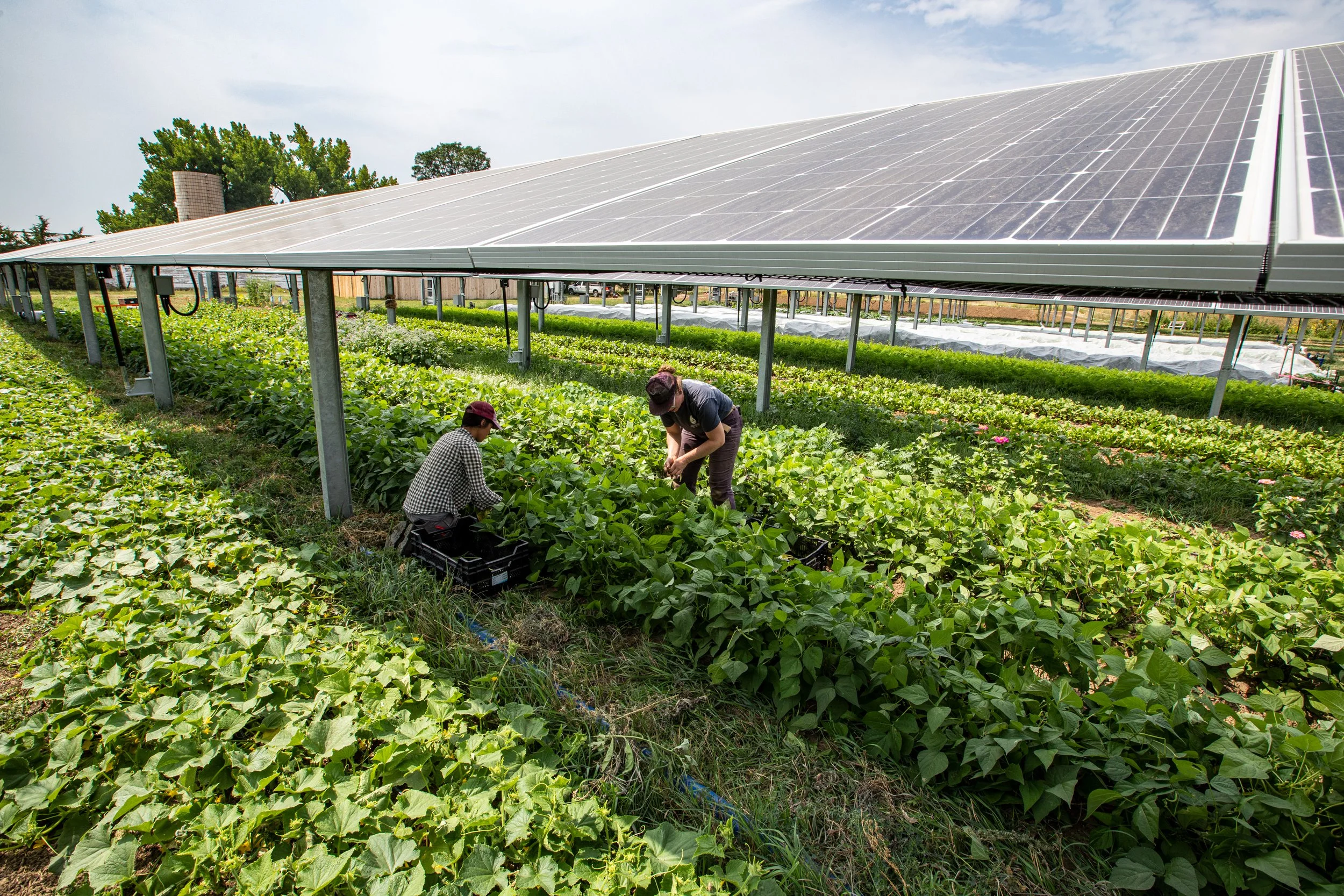 Lightstar | Explore Solar Opportunities Today