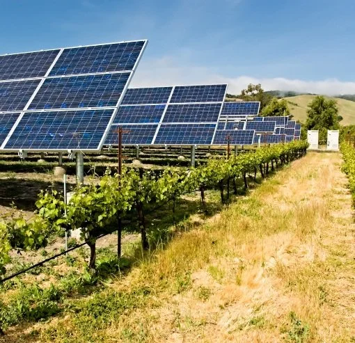 What is Agrivoltaics — Lightstar