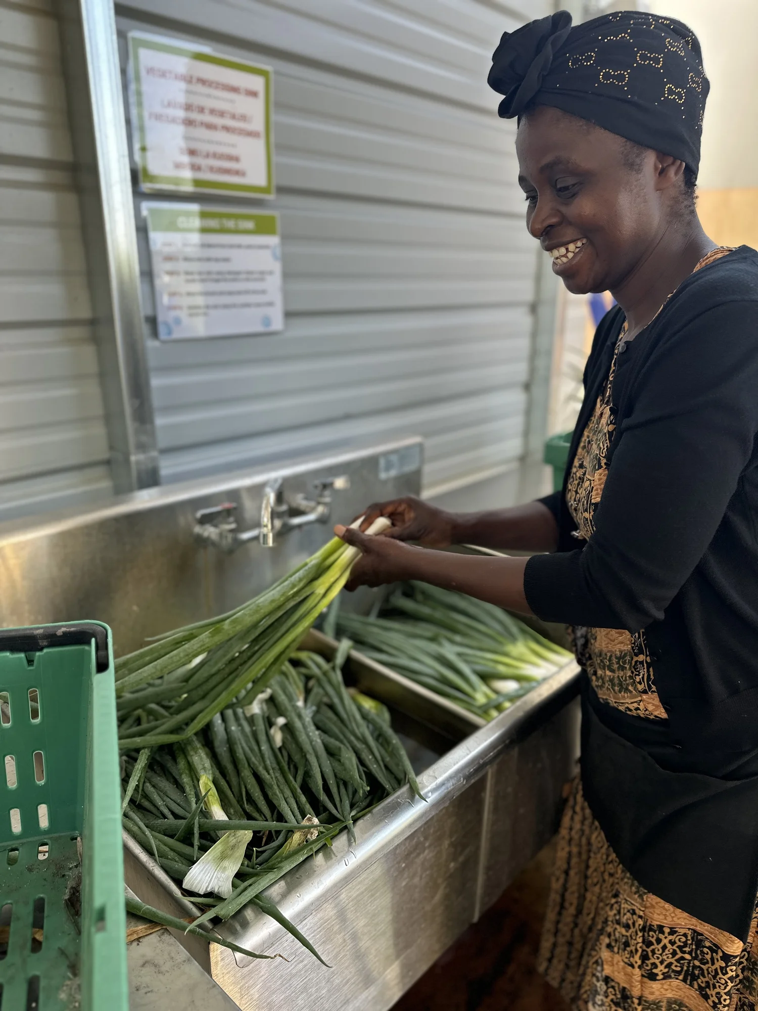 Canaan Greens Farm Highlight — Sharing Our Roots