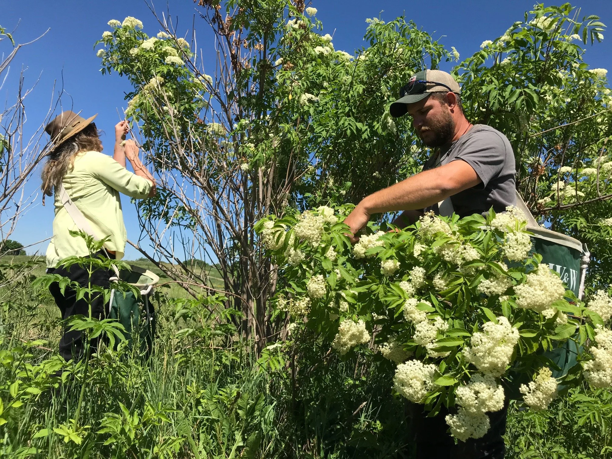 Wyatt & Tessa Parks — Sharing Our Roots