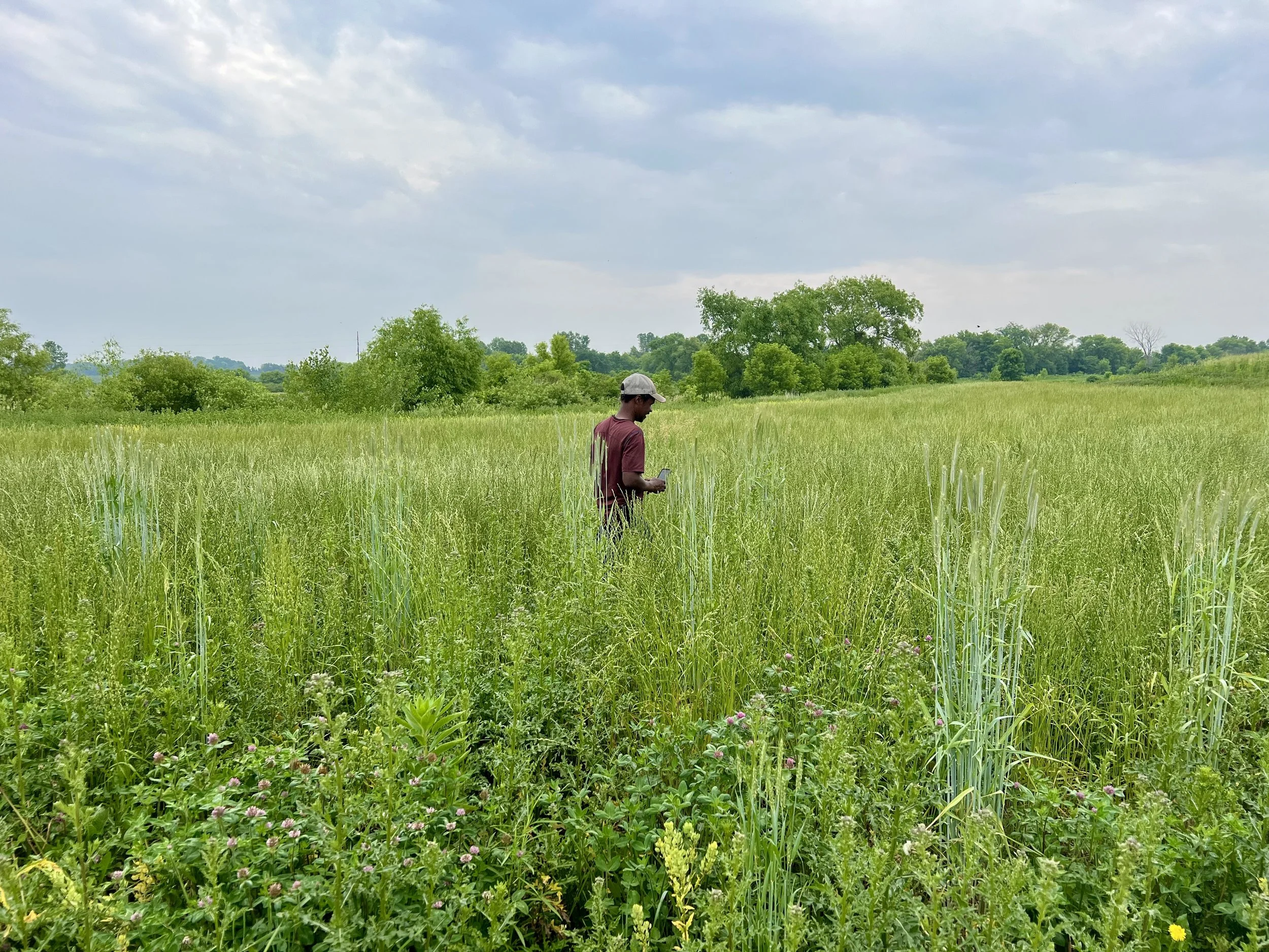 Farmer Cohort Applications — Sharing Our Roots