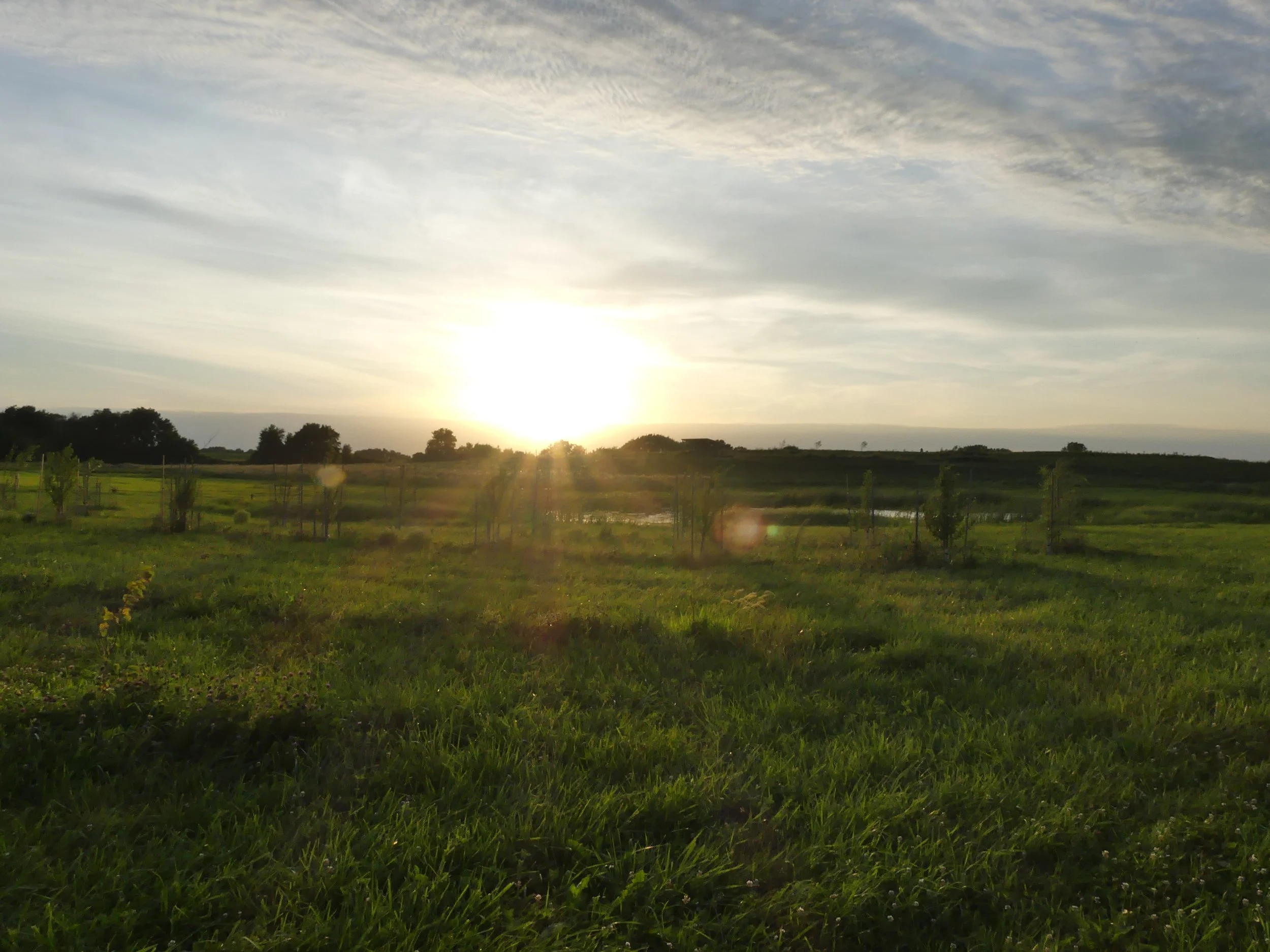 Practicing Community Care — Sharing Our Roots