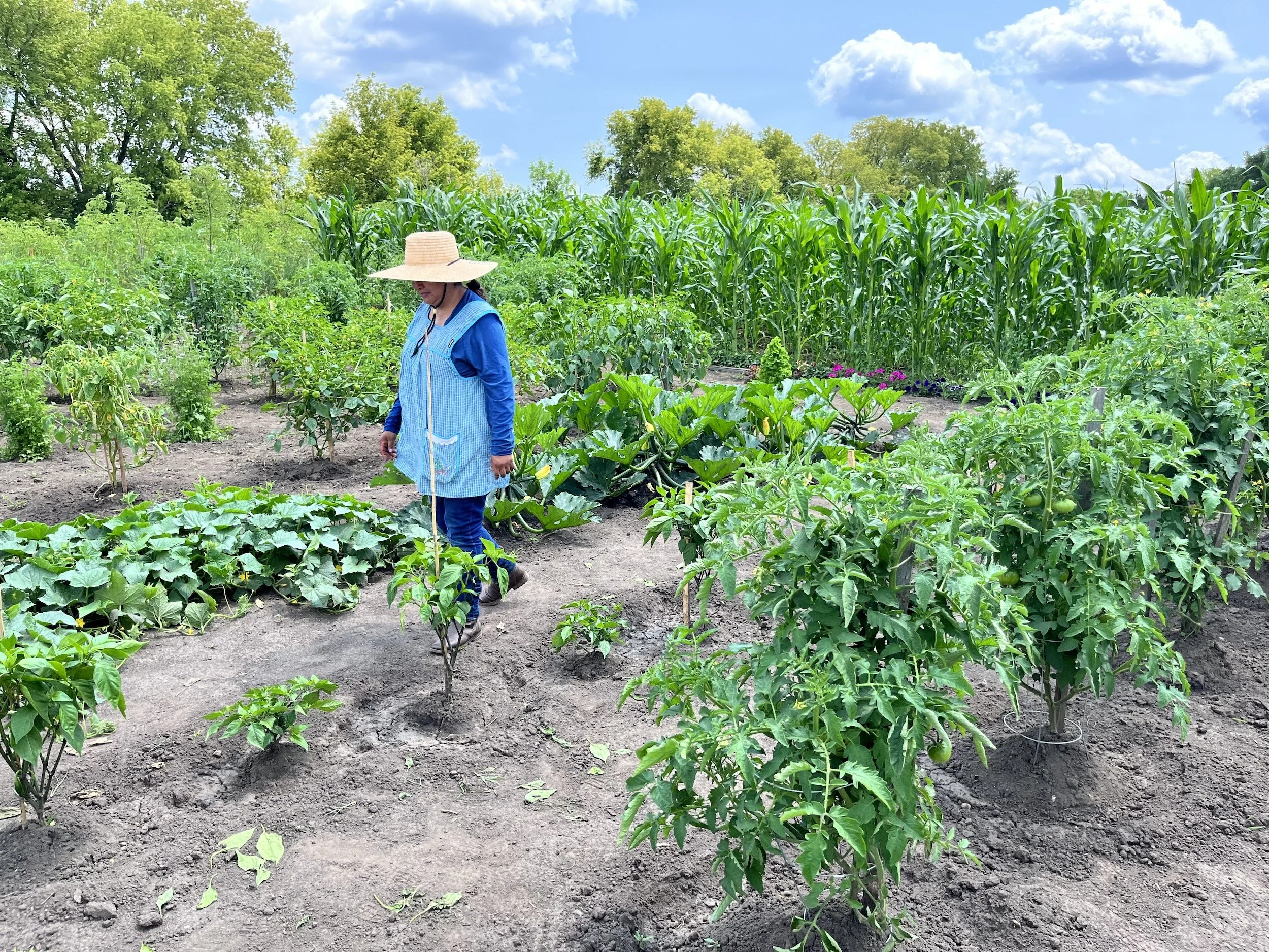 Empowering Farmers, Nourishing Communities — Sharing Our Roots