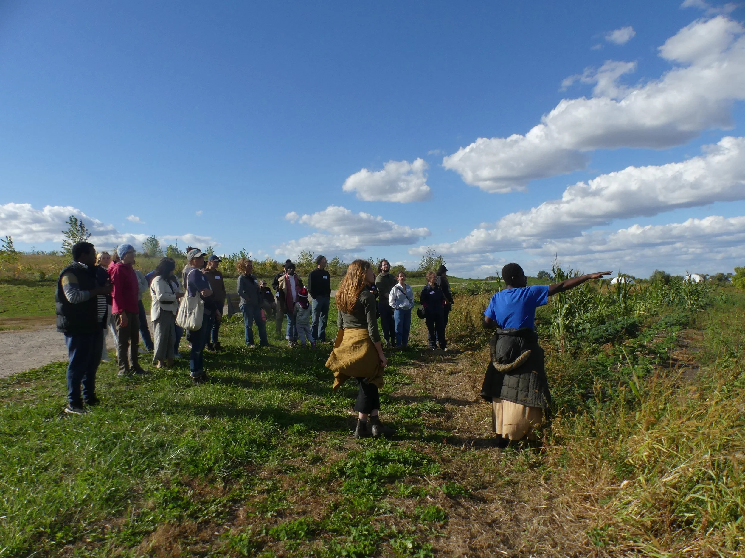 Canaan Greens Farm Highlight — Sharing Our Roots