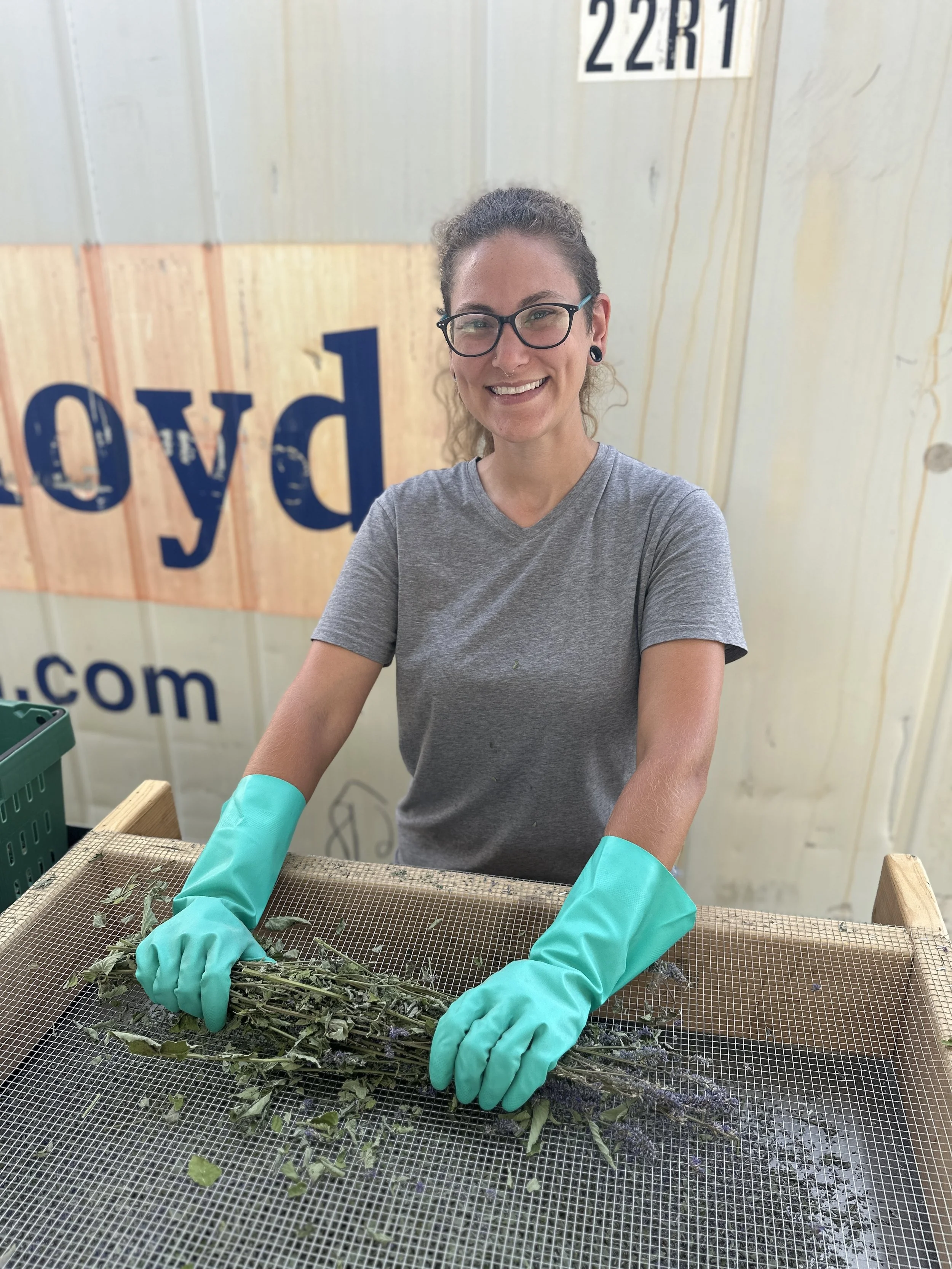 Delanie Harrmann — Sharing Our Roots