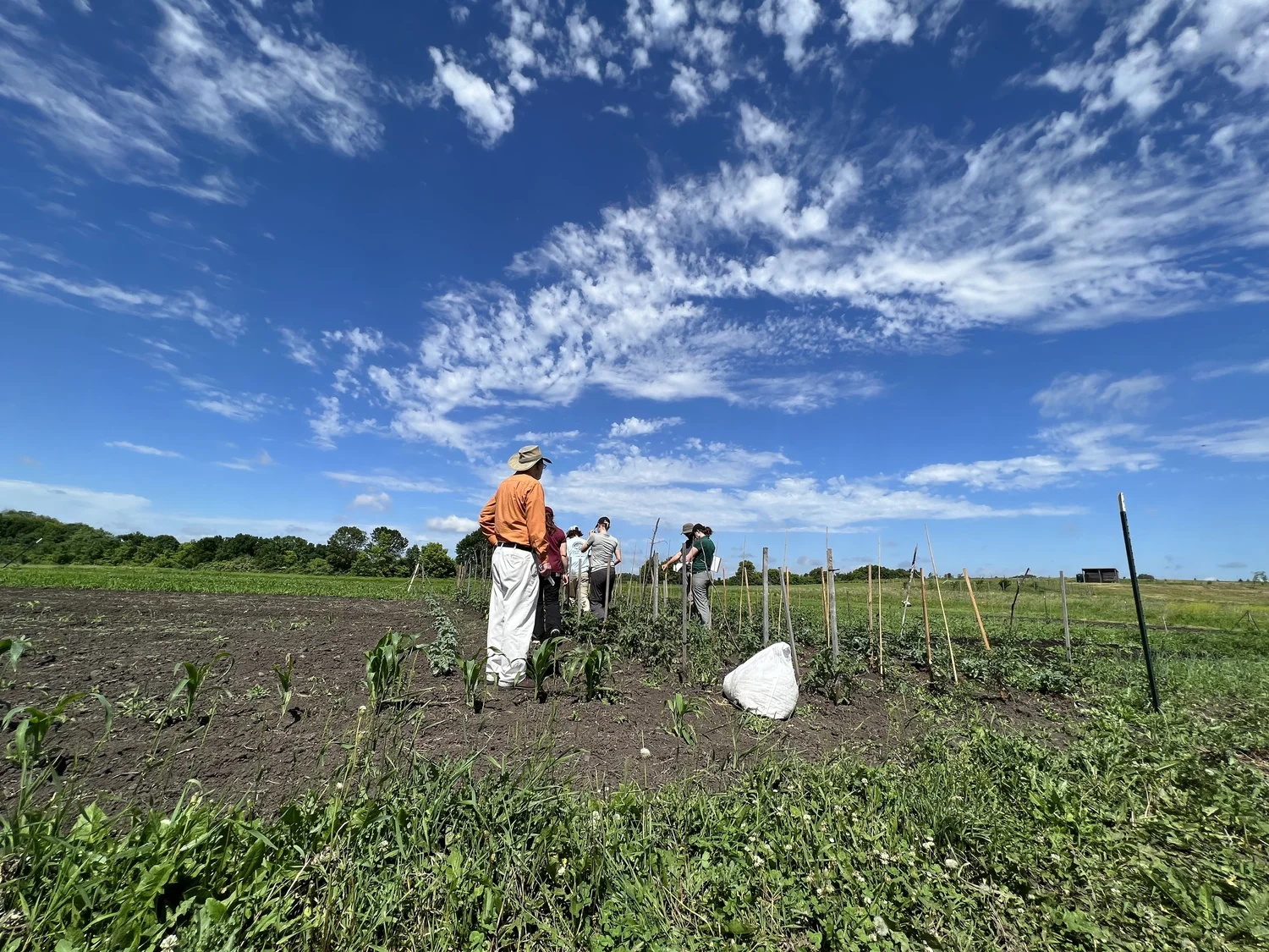 Community Connectors — Sharing Our Roots