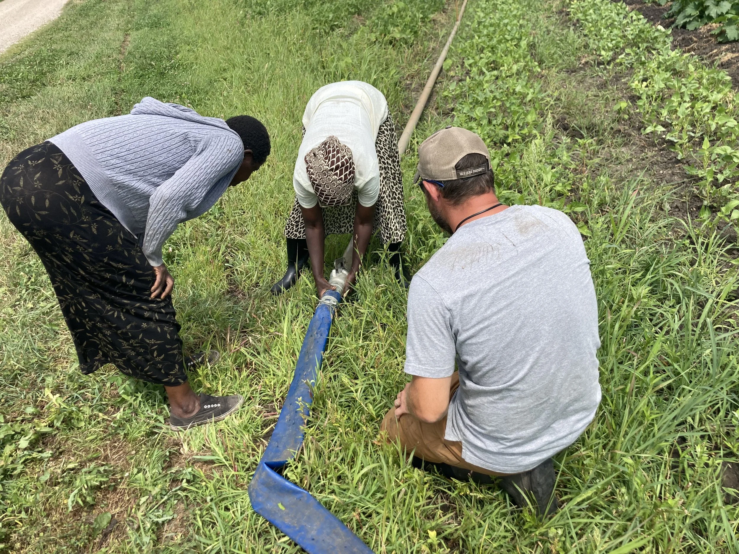 Practicing Community Care — Sharing Our Roots