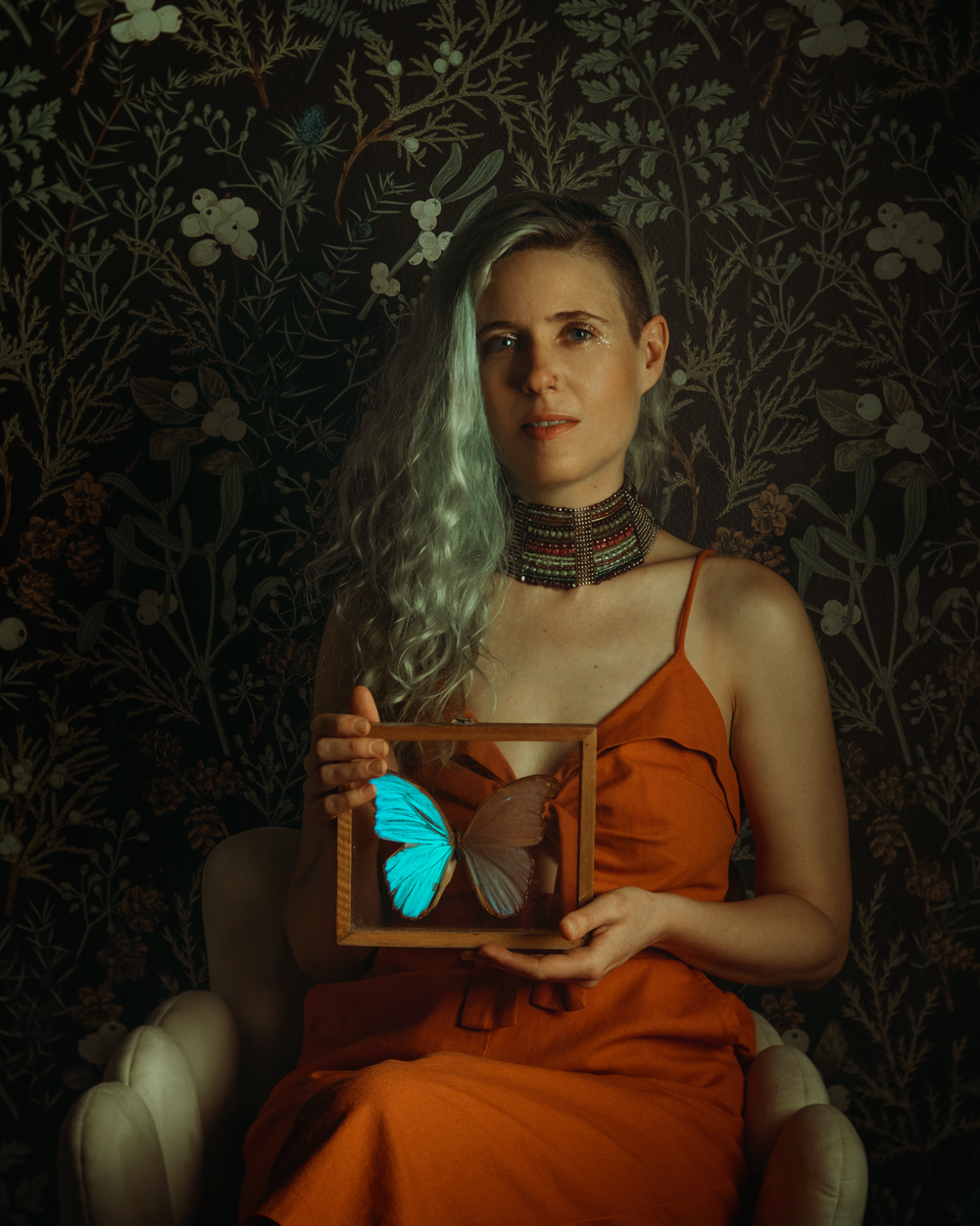 Who We Are | Discover & Experience Early Music — Alkemie