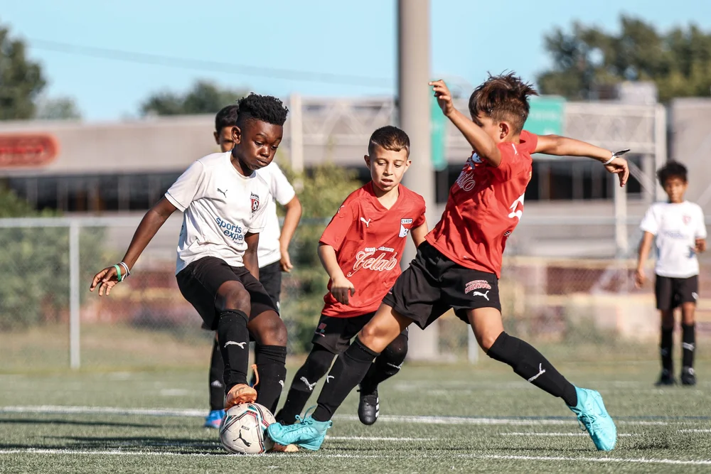 Fields — Lakeshore Soccer Club