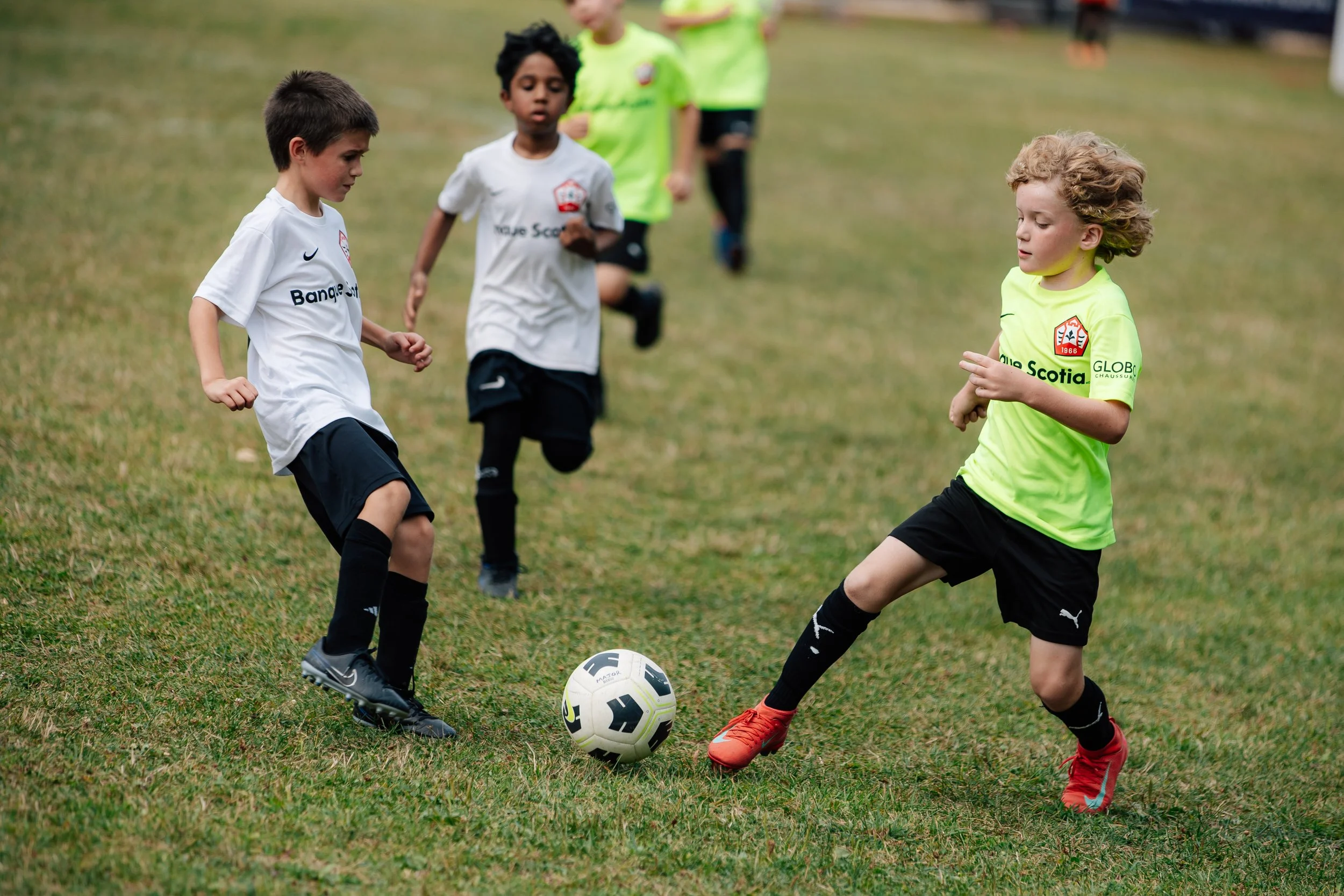 Lakeshore Soccer Club