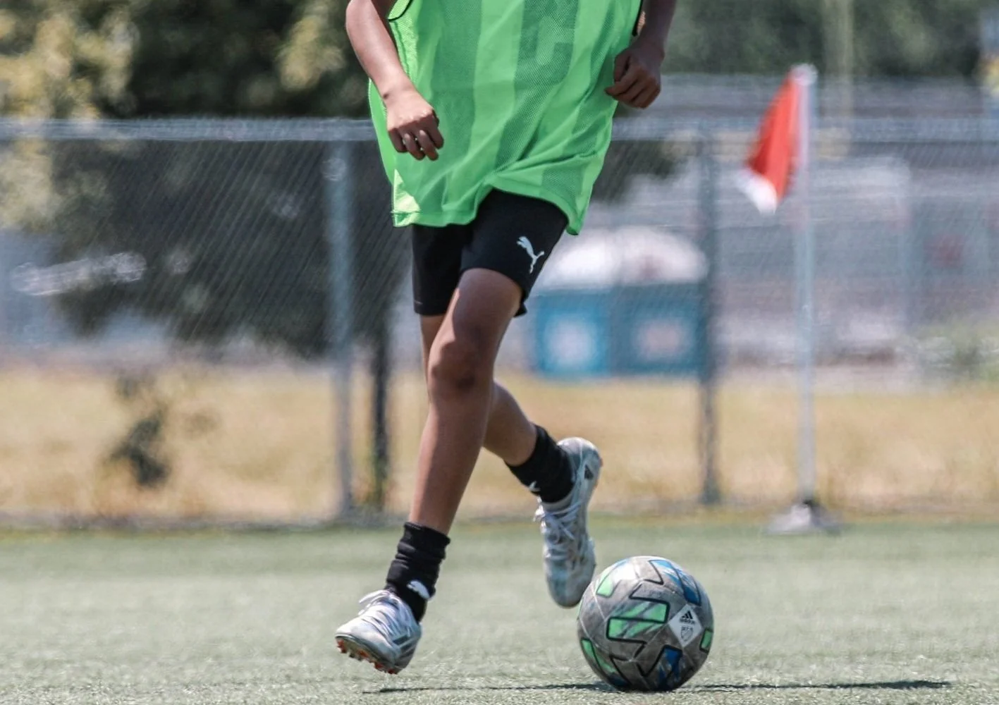 Competitive — Lakeshore Soccer Club