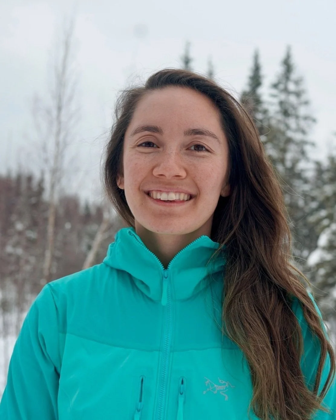 Alaska Remote Imaging