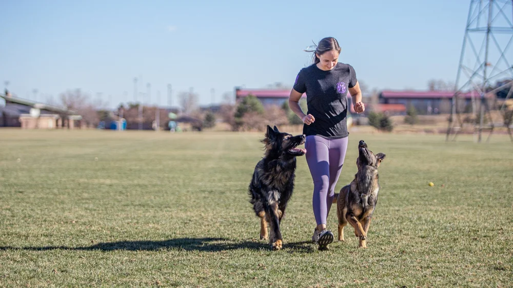Canine Coach Academy