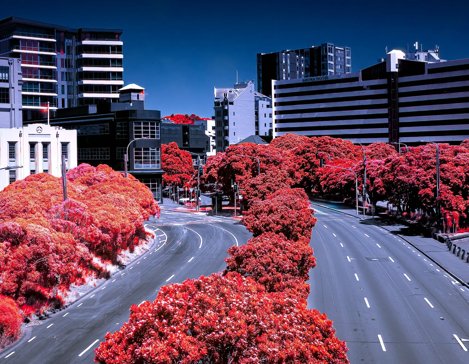 Aerochrome — MaKe Photography