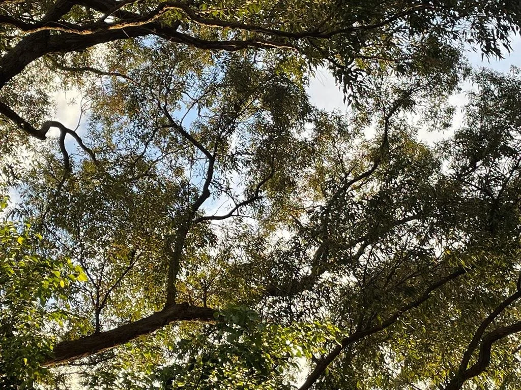 Transition to Retirement (TTR) Guide: Expert Tips & Strategies — James ...