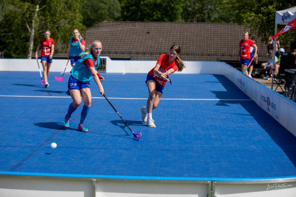 T Treningsledelse og undervisningsprinsipper — Nittedal Wolves