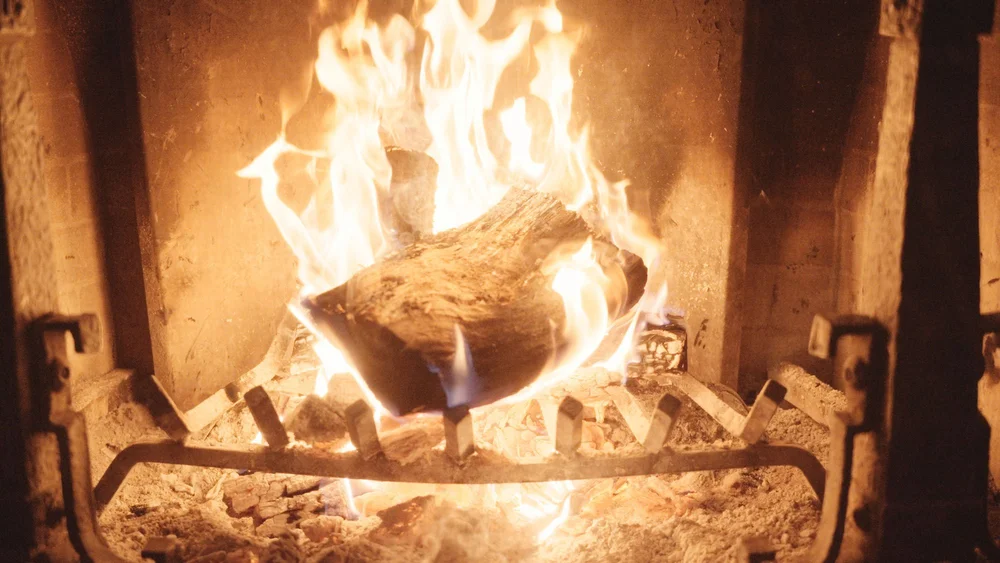 Visual Delights: Julian's Photo Gallery — Orchard Hill