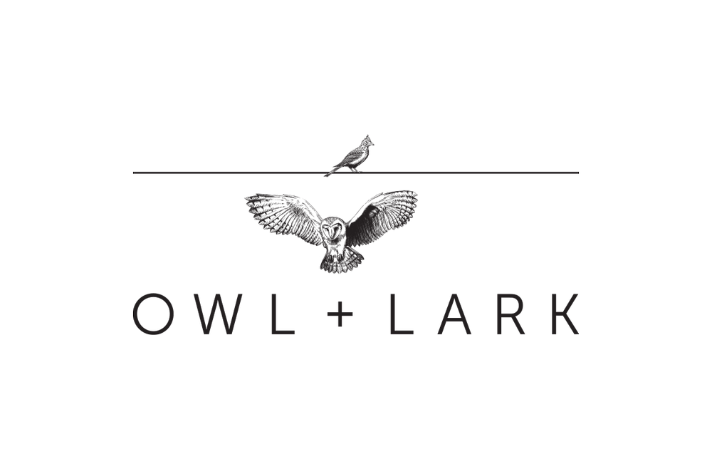 PR Case Study – Owl + Lark — No Strings Public Relations