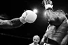 Glover Boxing