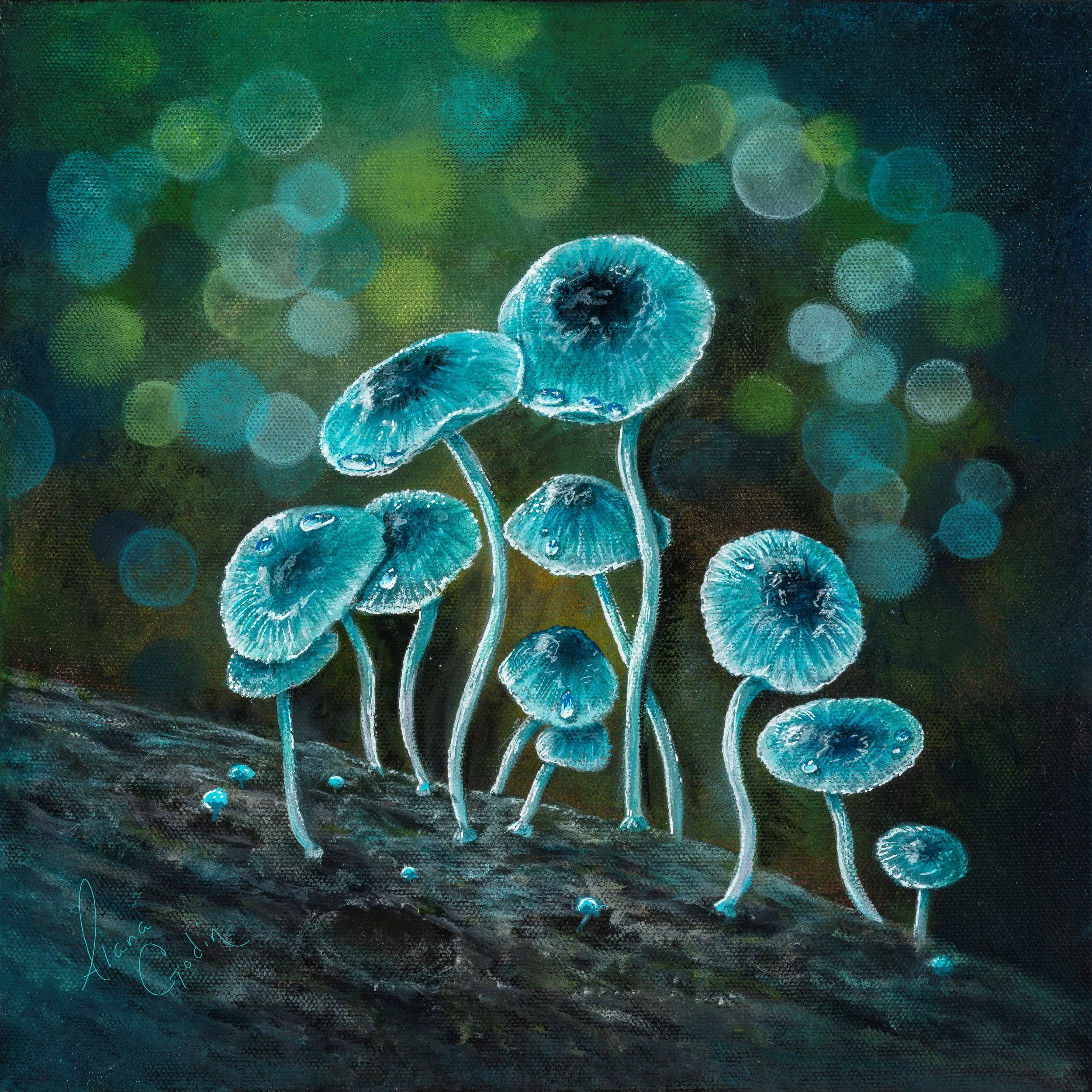 Store 1 — Bludoggallery