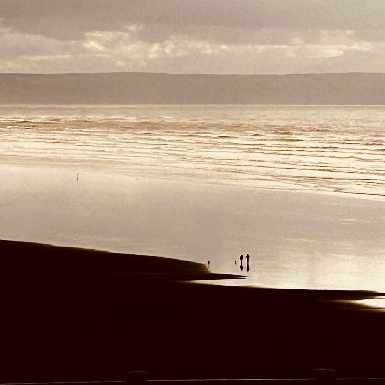 eleanor rankin dailey